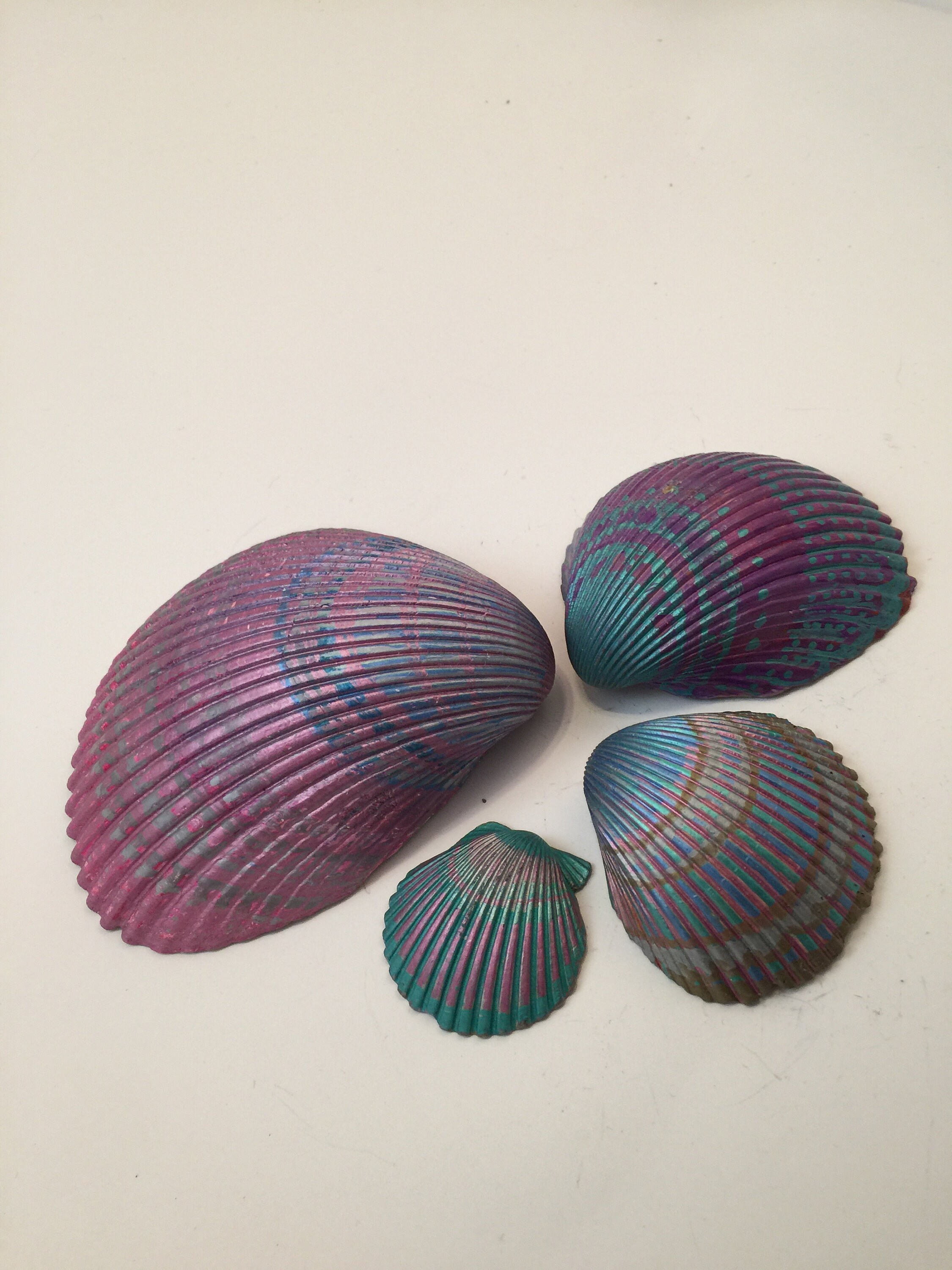 Turquoise and Pink Painted Seashells - Etsy