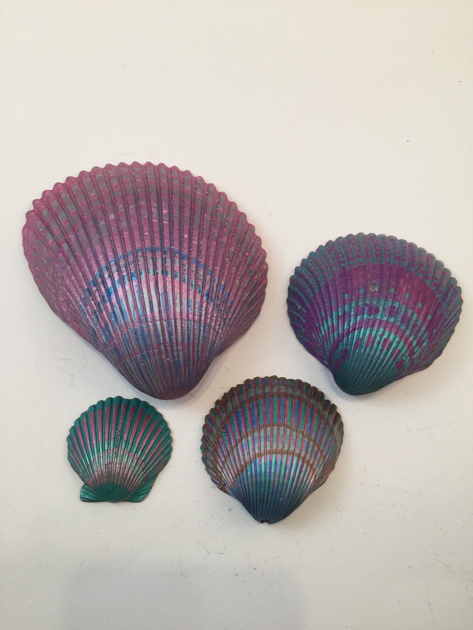 Turquoise and Pink Painted Seashells - Etsy