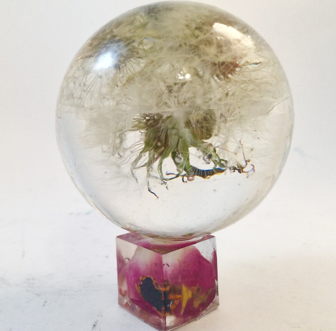 Dandelions Preserved in a Resin Sphere - Etsy