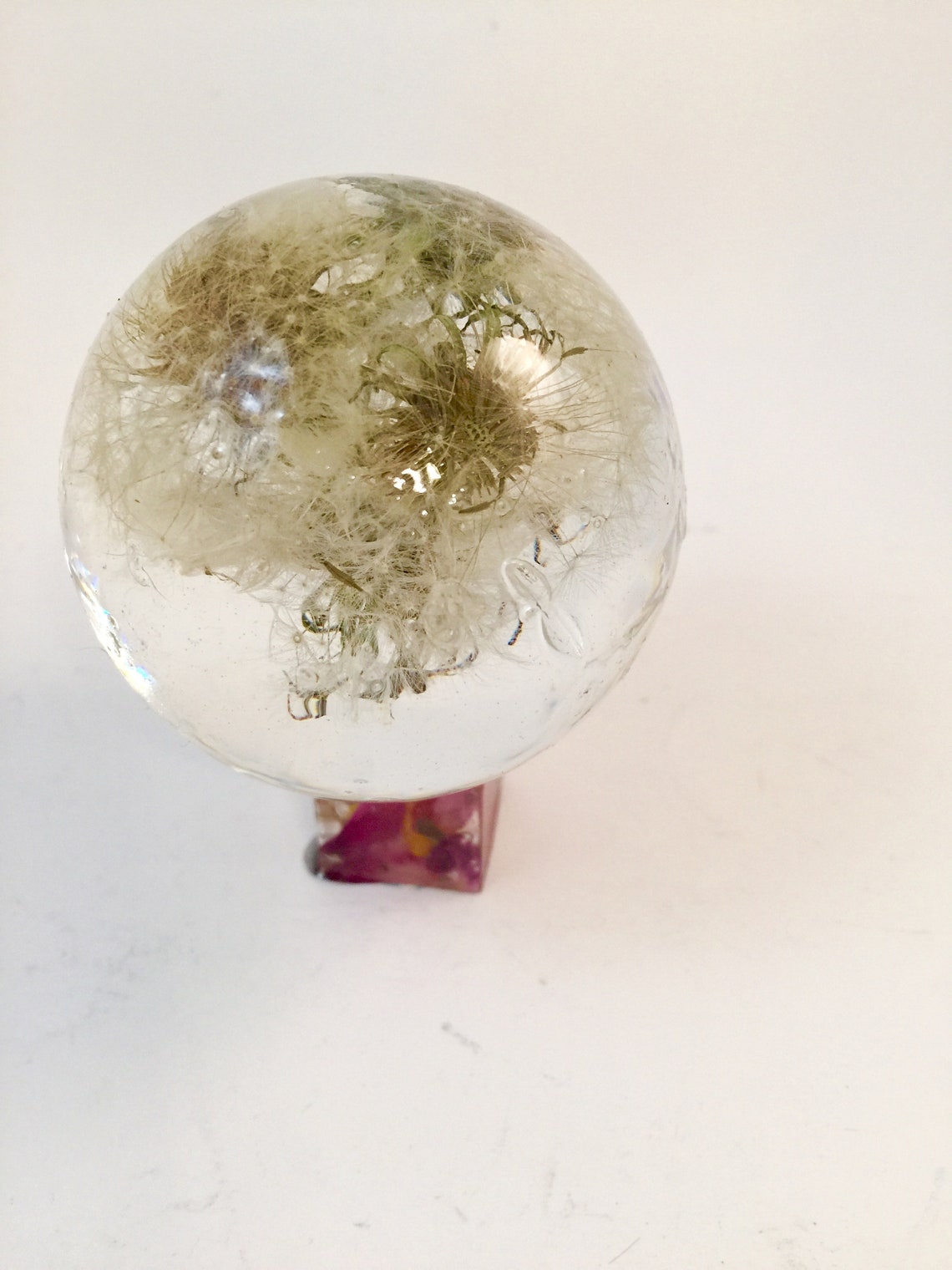 Dandelions Preserved in a Resin Sphere - Etsy