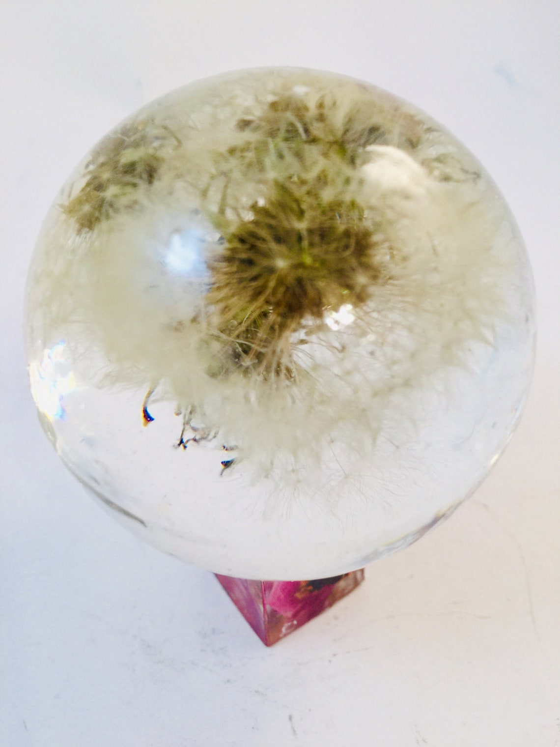 Dandelions Preserved in a Resin Sphere - Etsy