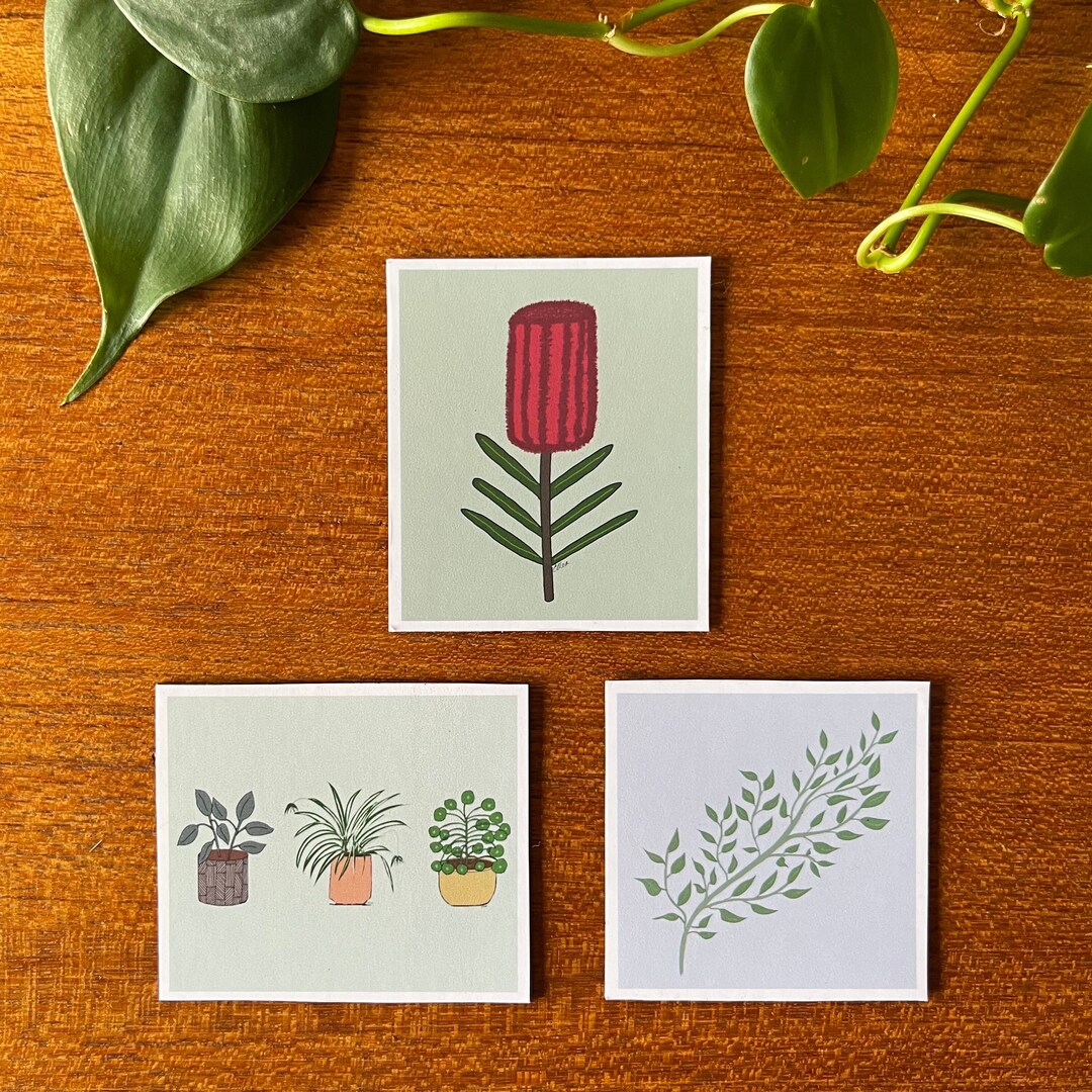 Pack X 3 Fridge Magnets Banksia Tree Branch Rubber Plant, Spider Plant ...