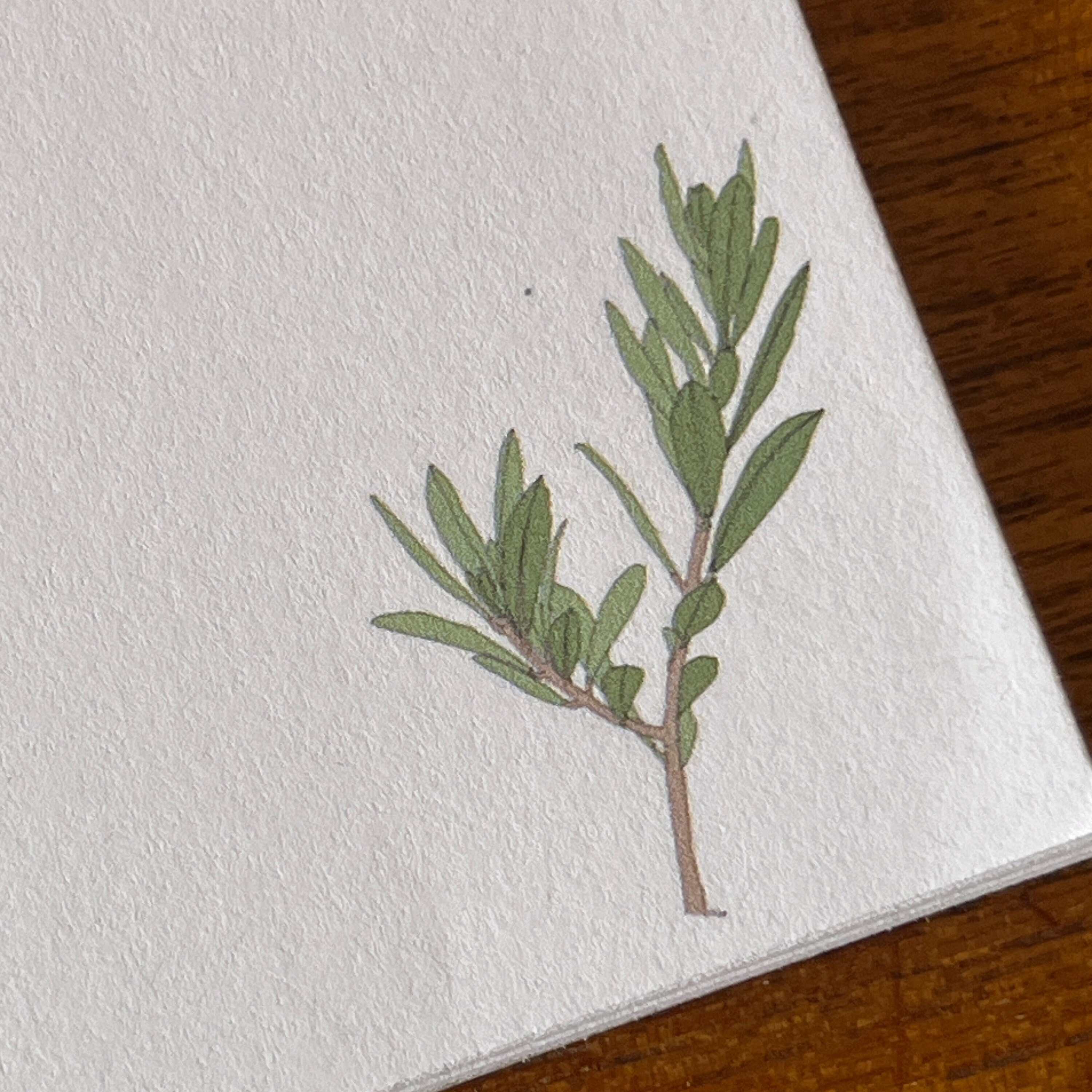 Olive Branch Gift Pack - to Do List / Note Pad- Bookmark - Greeting ...