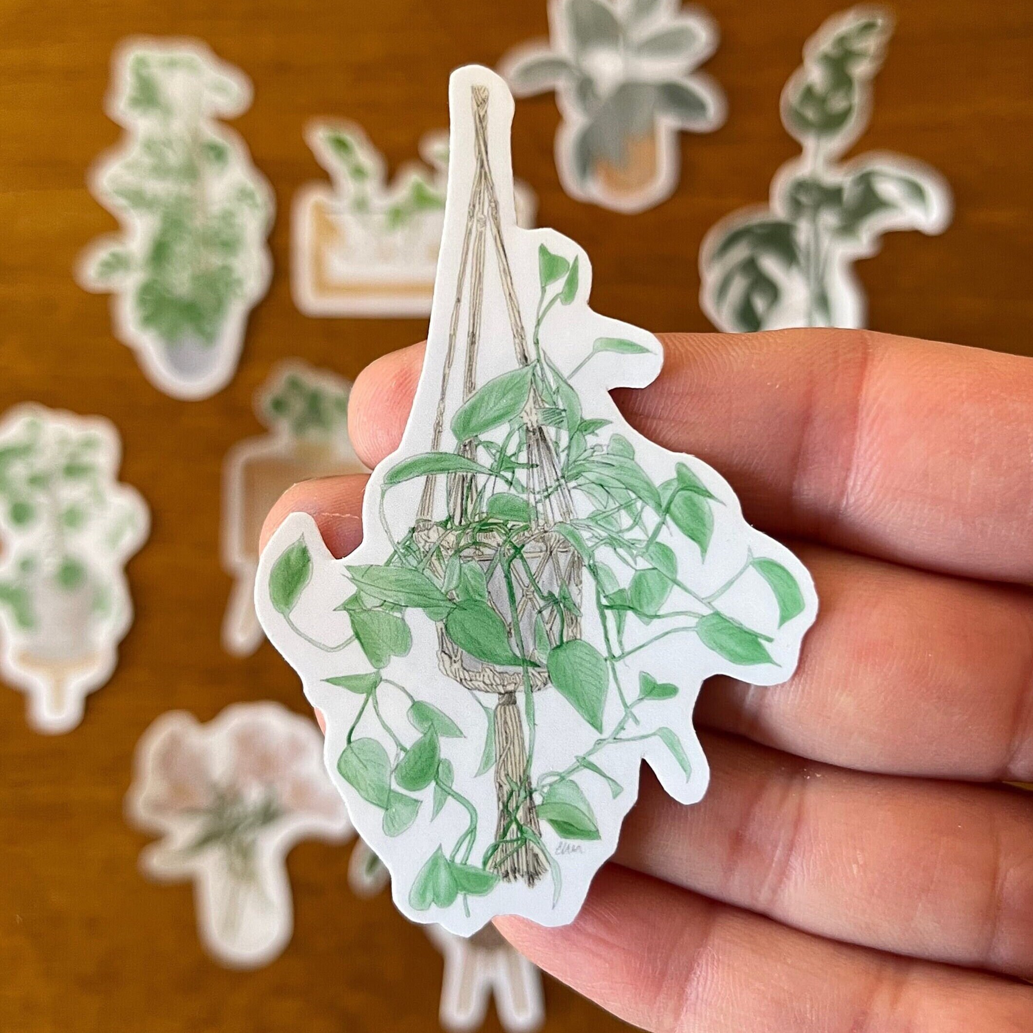 Indoor Plant Stickers - Matt - Vinyl - Ready to Ship - Free Shipping ...