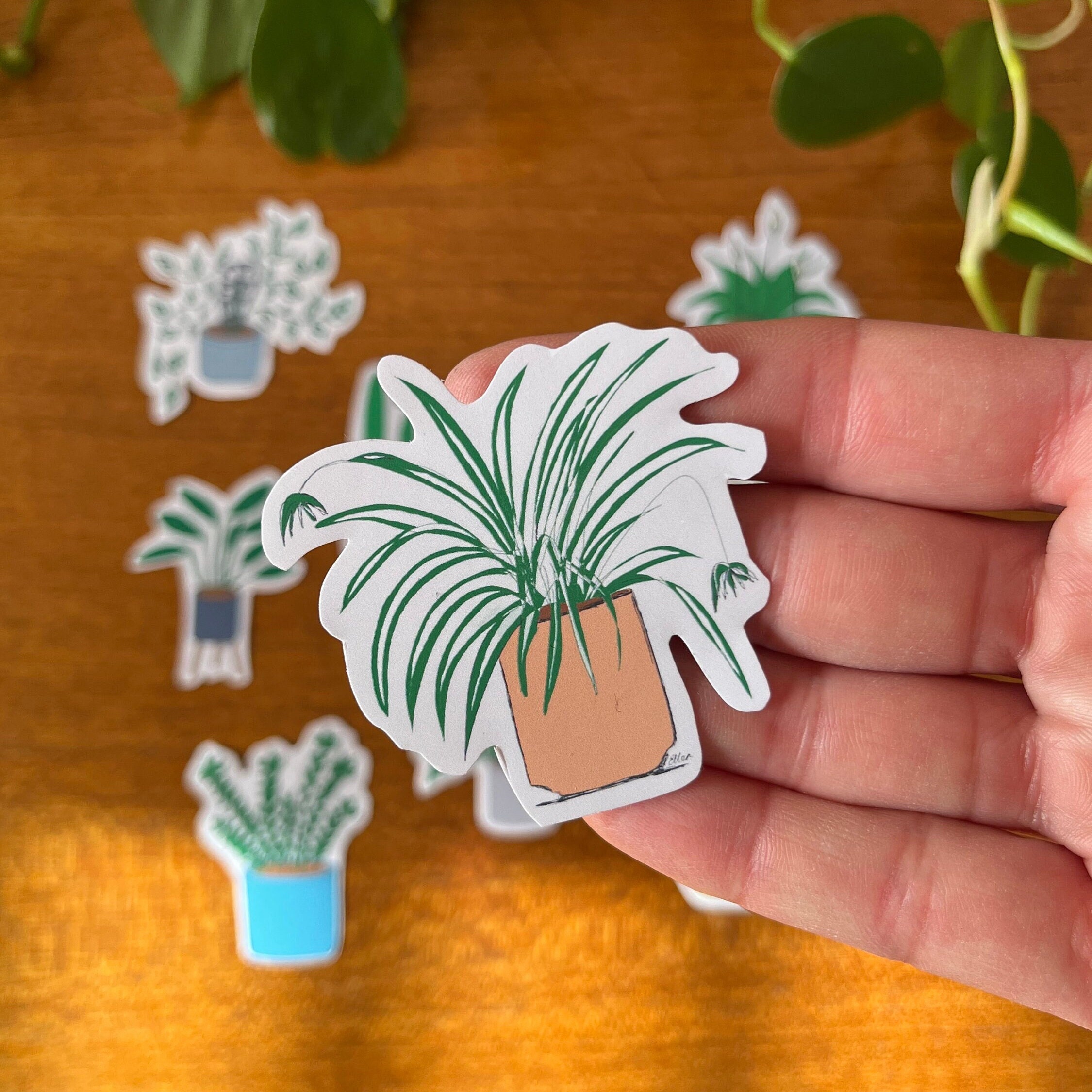 Potted Plant Stickers - Ready to Ship - Vinyl - Matt - Gloss - Free ...