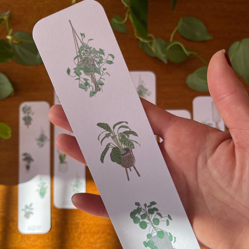 Indoor Plant Bookmarks Rubber Plant-pilea-pothos, Ctenanthe Setosa ...