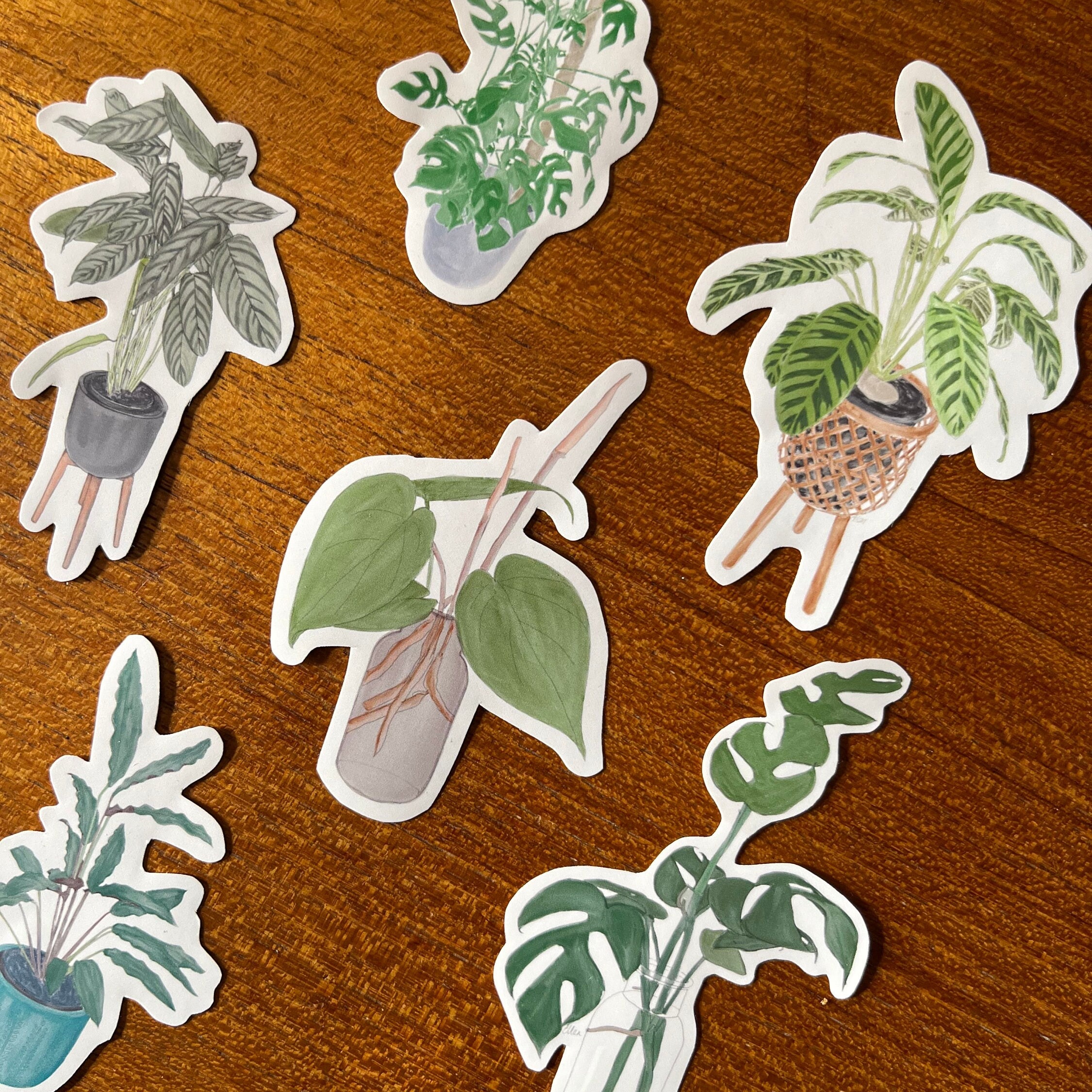 Indoor Plant Stickers - Matt - Vinyl - Ready to Ship - Free Shipping ...