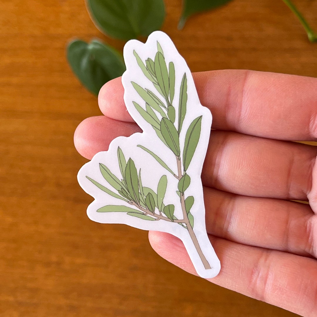 Olive Branch Sticker - Manzanillo - Ready to Ship - Etsy