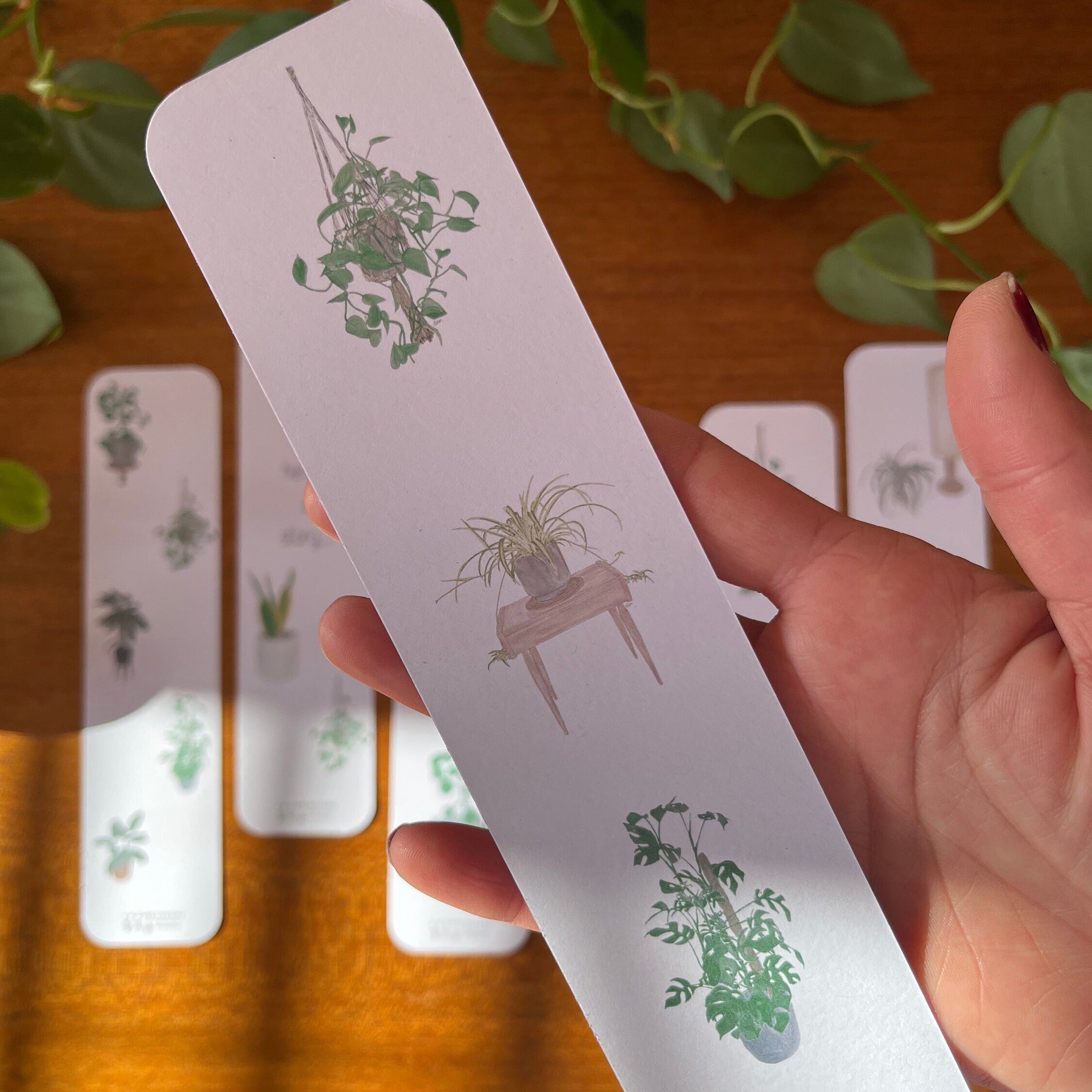 Indoor Plant Bookmarks Rubber Plant-pilea-pothos, Ctenanthe Setosa ...