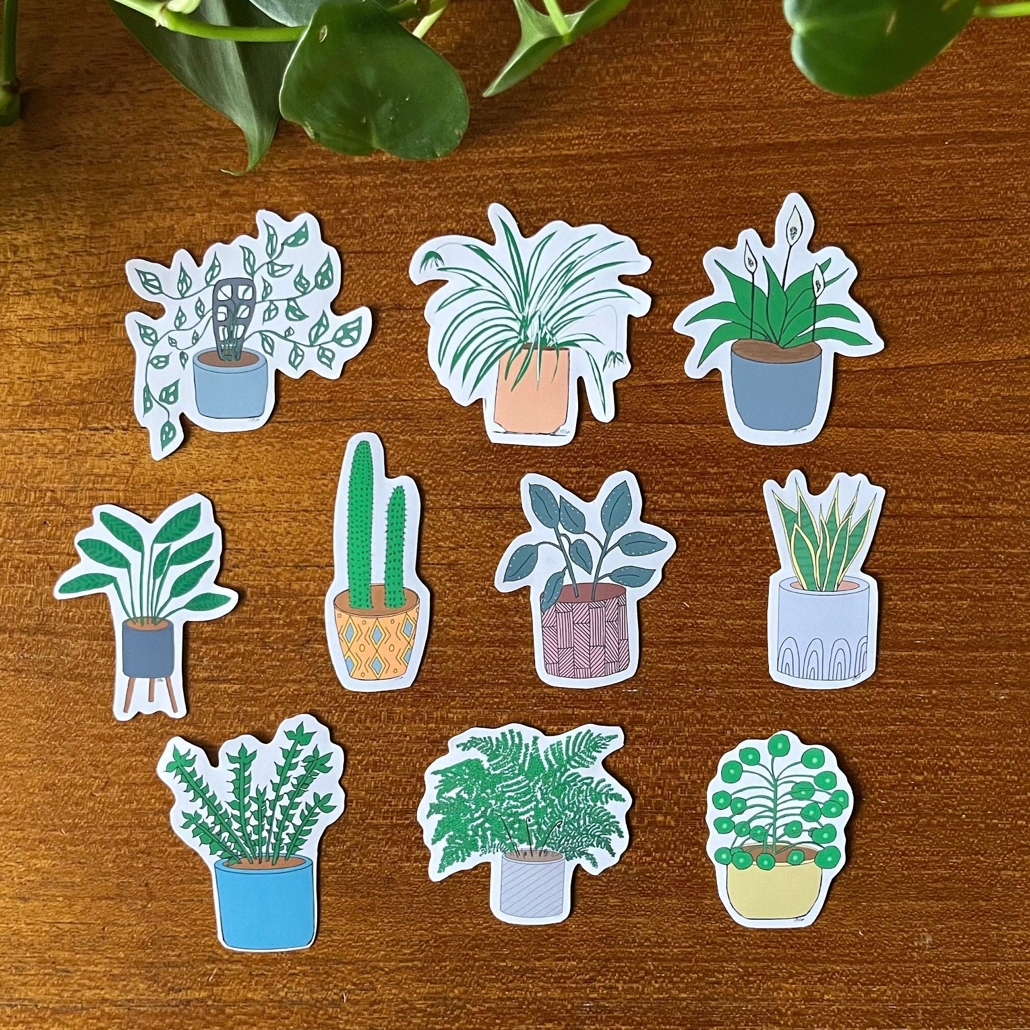 Potted Plant Stickers - Ready to Ship - Vinyl - Matt - Gloss - Free ...