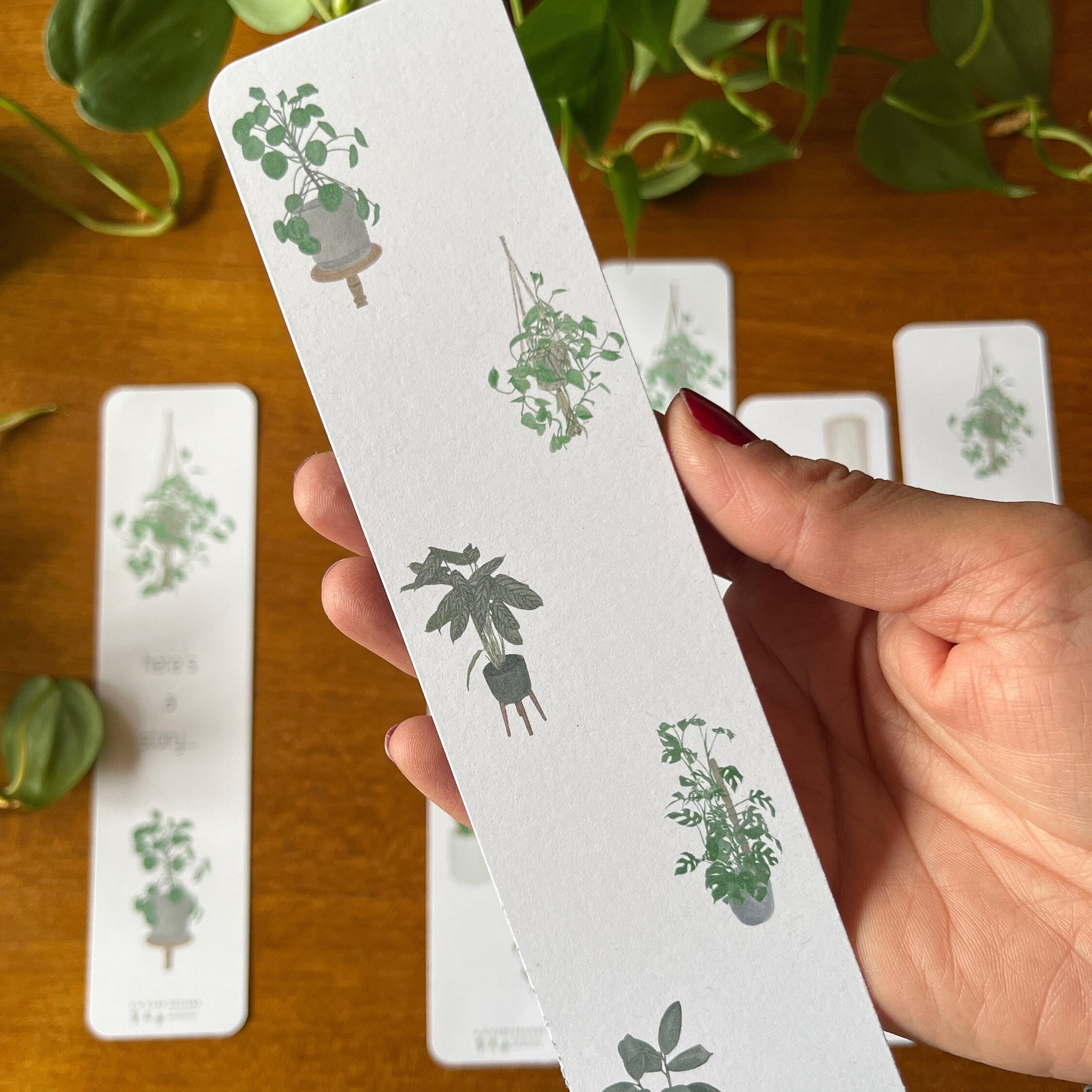 Indoor Plant Bookmarks Rubber Plant-pilea-pothos, Ctenanthe Setosa ...