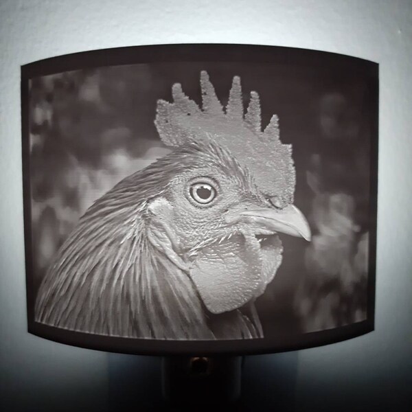 Chicken Night Light - Etsy