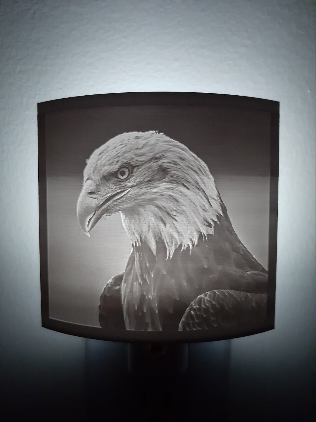 Bald Eagle Night Light USA Patriotic Gift America Nightlight - Etsy