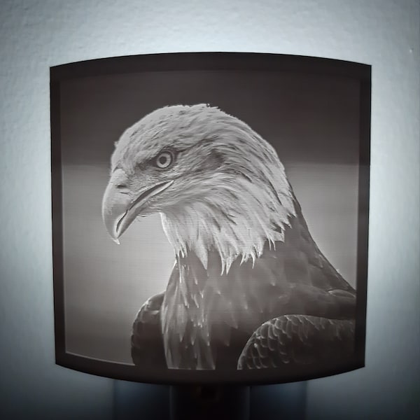 Bald Eagle Wall Light - Etsy
