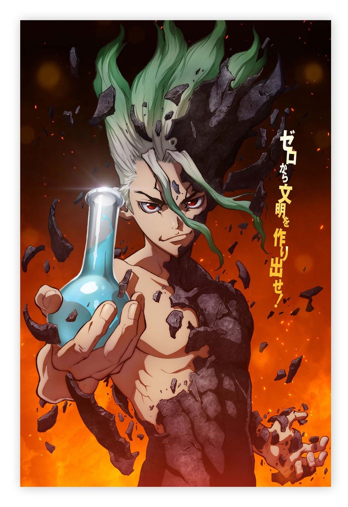 Dr. Stone Poster TV Series.tv Anime Postercanvas Poster | Etsy