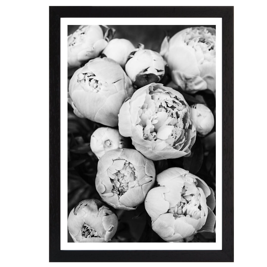 Peonies Wall Art Print Peony Wall Art Botanical Artflower | Etsy