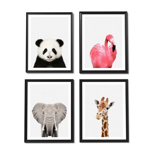 Safari Picture Frame - Etsy