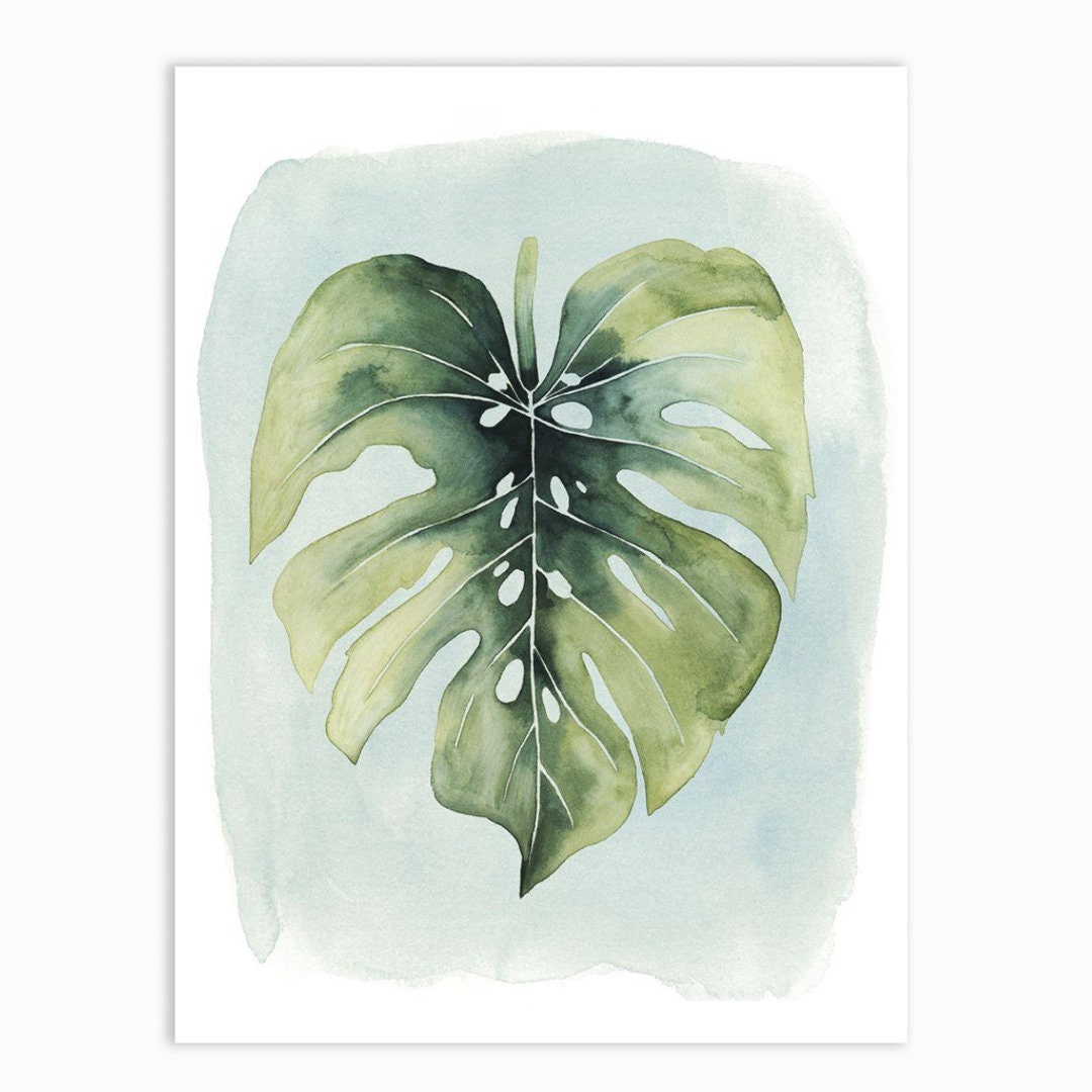 Set of 3 Green & White Botanical Prints Plant Prints Framed | Etsy UK