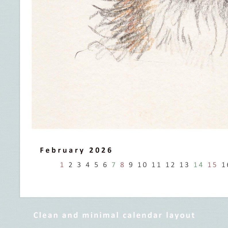 2026 Cat Calendar Printable – February Cat Illustration, Cozy Winter ...