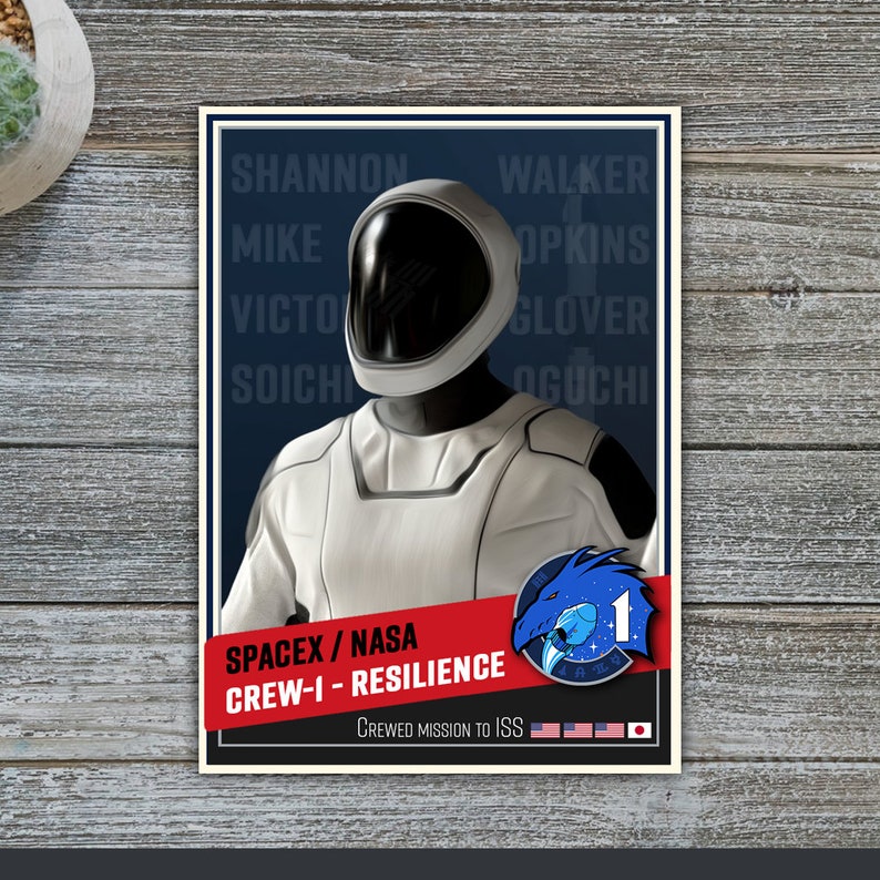 Spacex NASA Crew-1 Collectors Baseball Card - Etsy