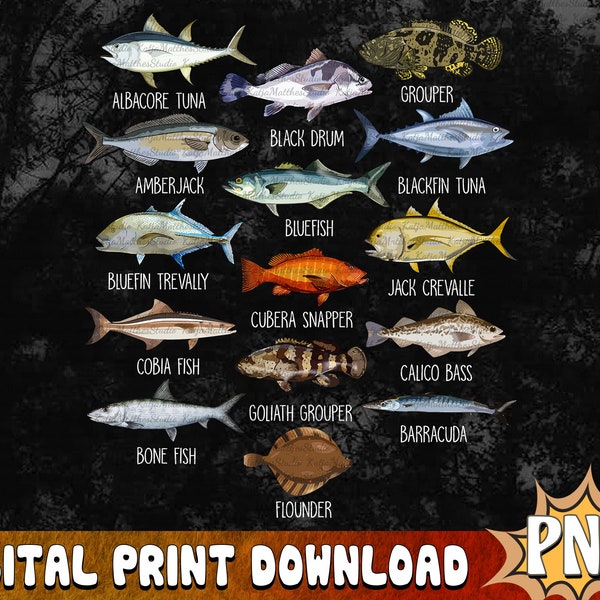 Saltwater Fish Art - Etsy