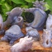 Large Raw Gemstone Carved Crystal Animals Figurines Gray Agate Geode ...