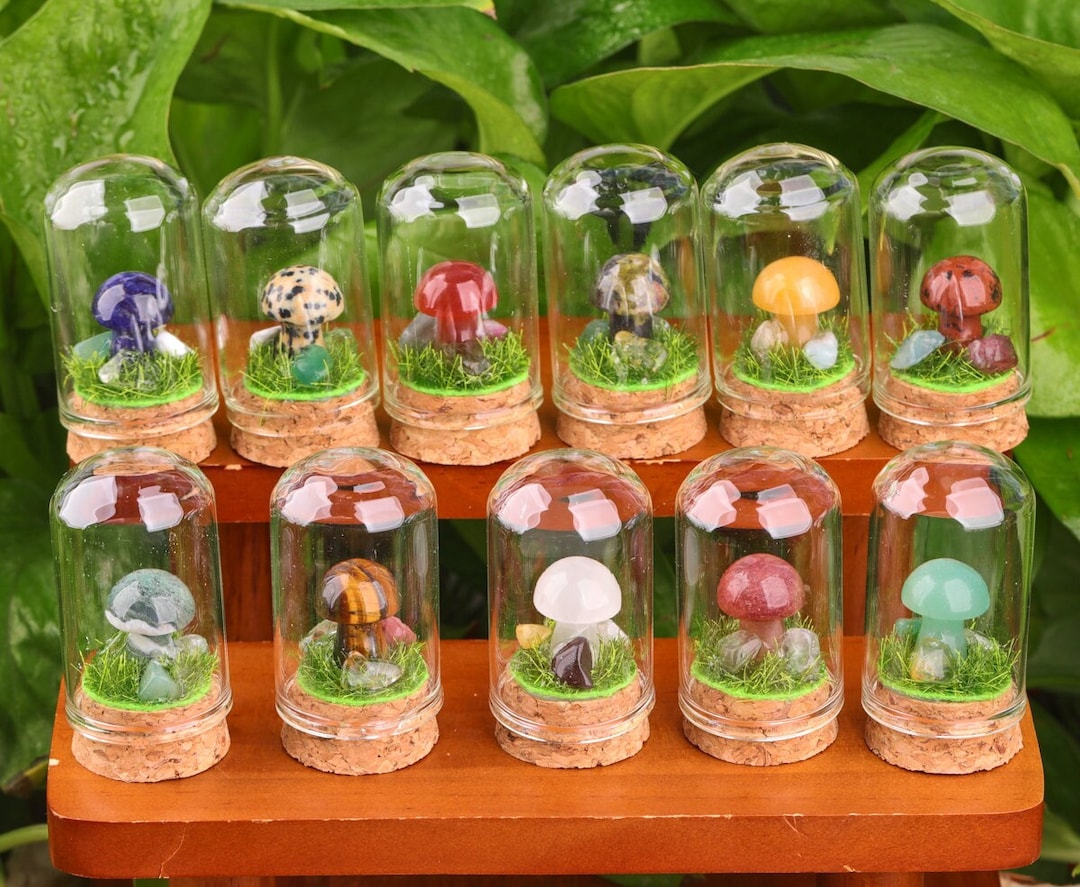 Crystal Mushrooms Crystal Mushroom Specimen With Bottle Small Gemstone ...