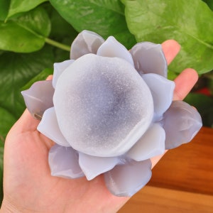 Large Raw Gemstone Carved Crystal Animals Figurines Gray Agate Geode ...