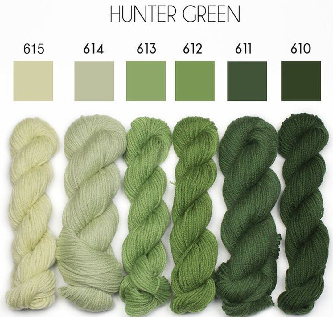 Paternayan Wool Color HUNTER GREEN 614 - Etsy