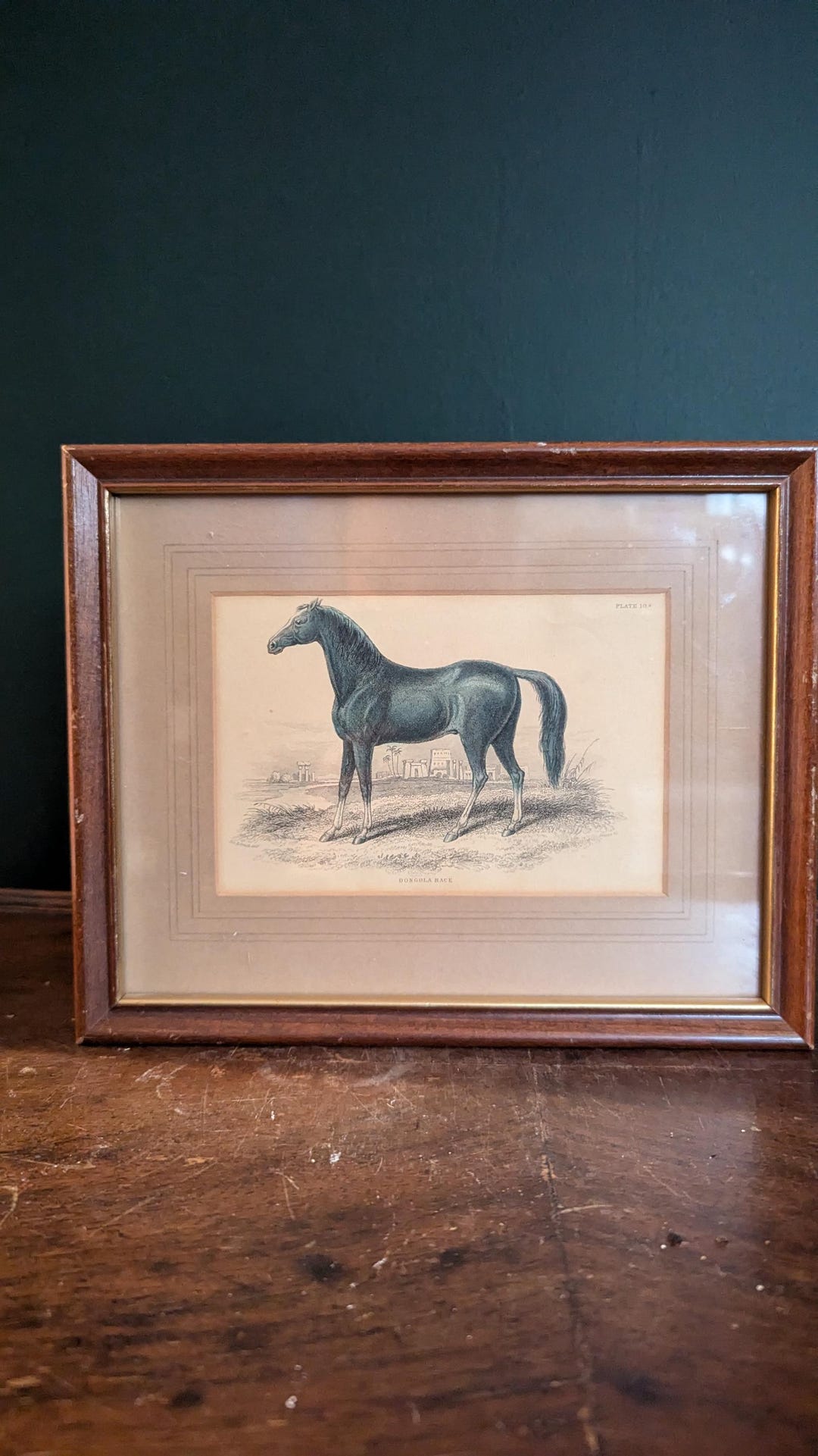 Antique Equestrian Horse Hand Colored Lithography - Etsy