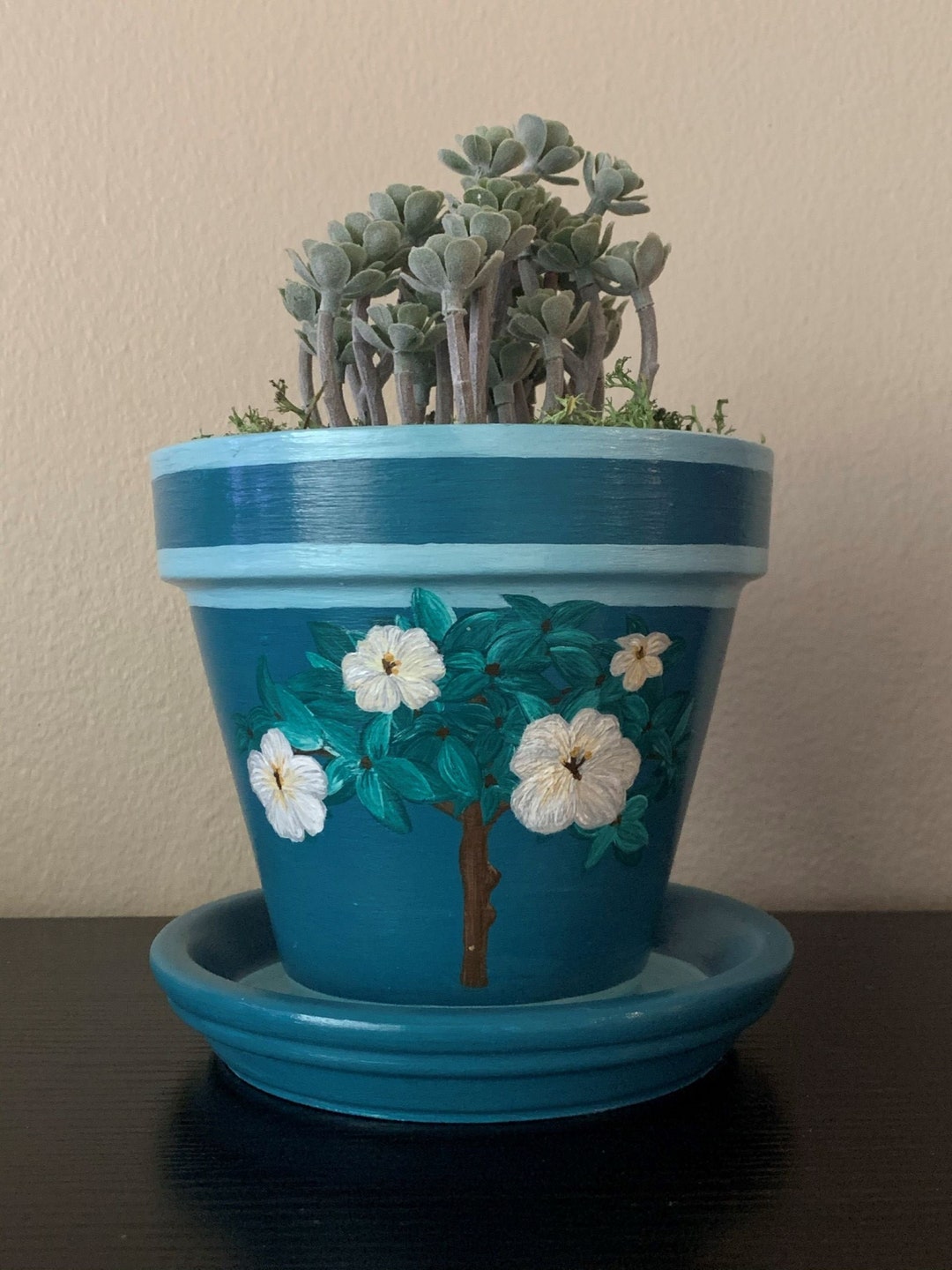 Azalea Planter With Drainage Tray Custom Azalea Bushel Terracotta Pot ...