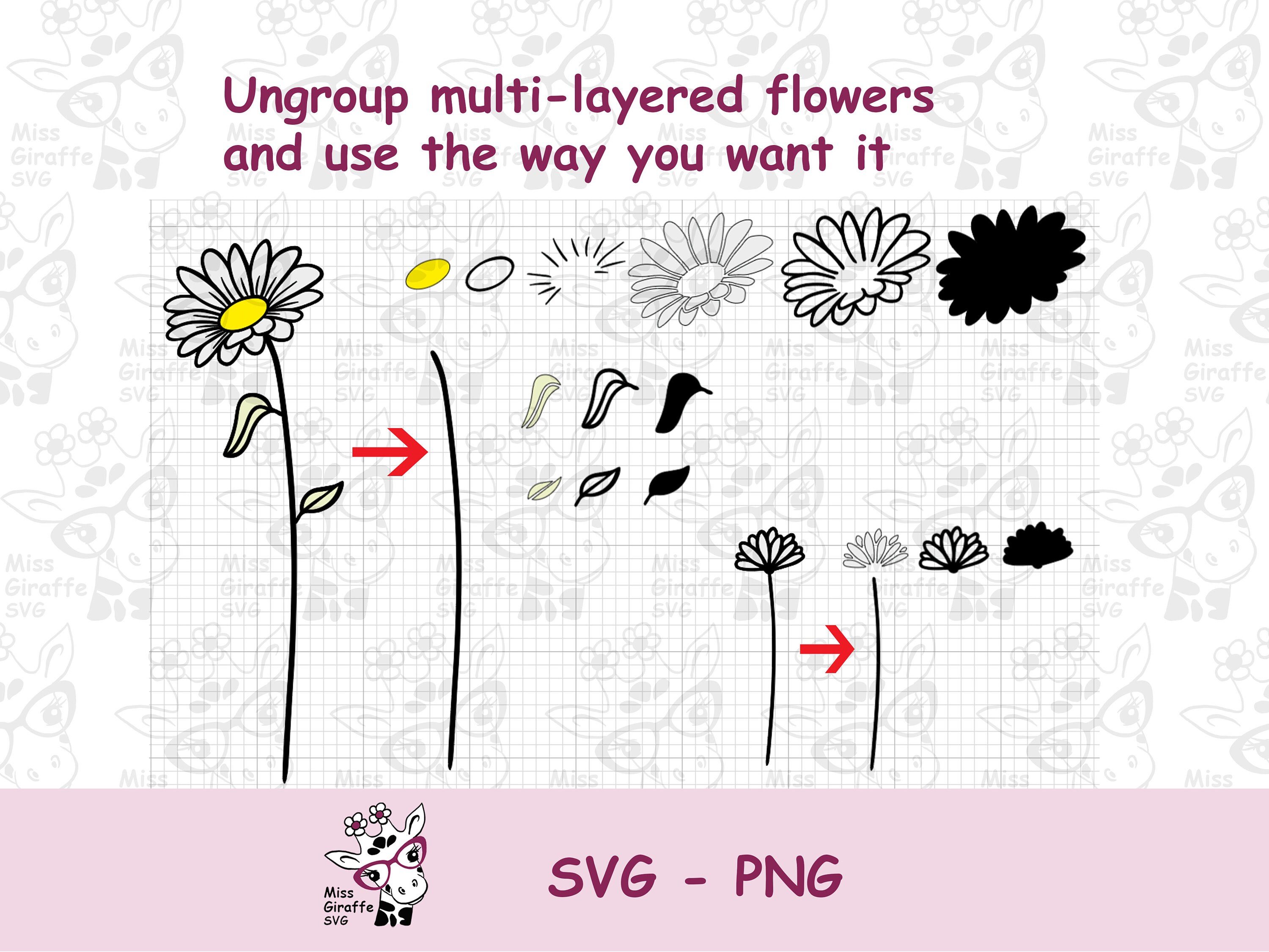 Daisy Flowers SVG Files for Cricut Hand Drawn Spring Summer - Etsy