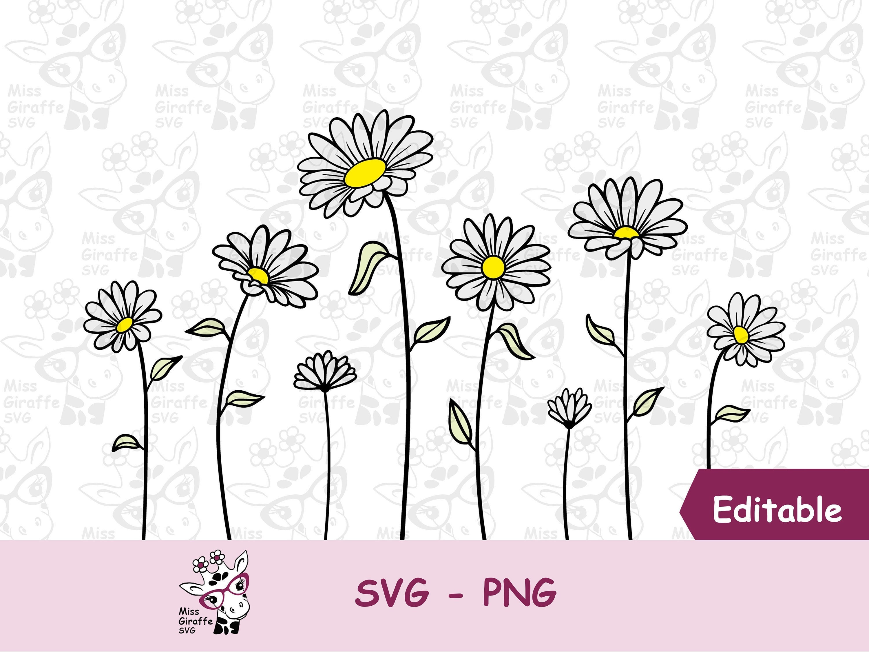 Daisy Flowers SVG Files for Cricut Hand Drawn Spring Summer - Etsy