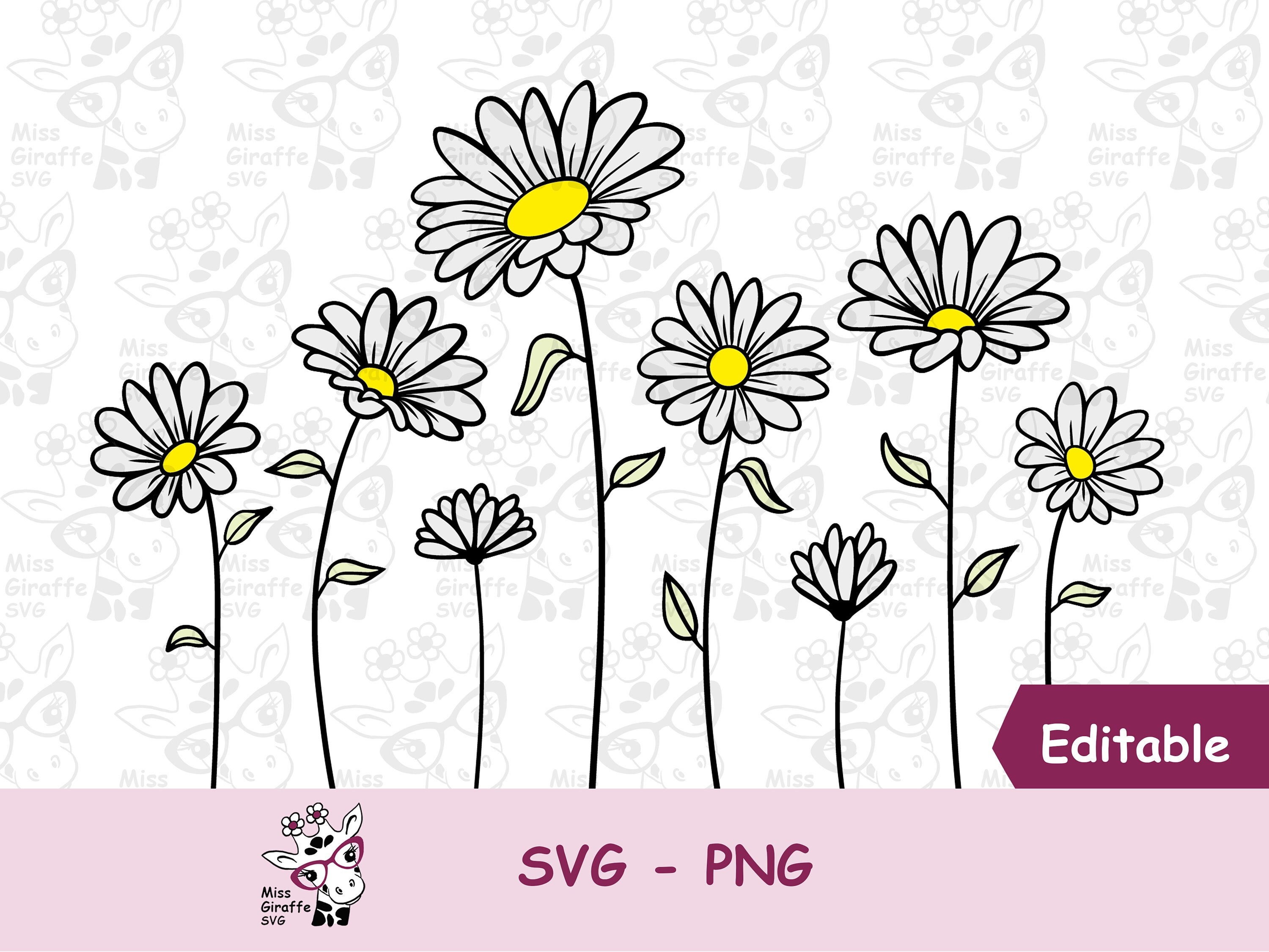 Daisy Flowers SVG Files for Cricut Hand Drawn Spring Summer - Etsy UK