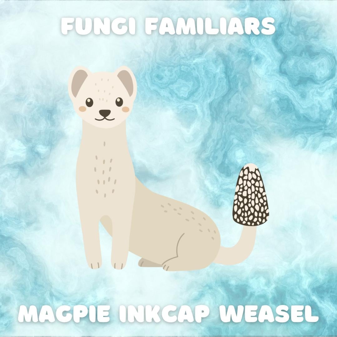 FUNGI FAMILIARS - Weasel Pin - Etsy
