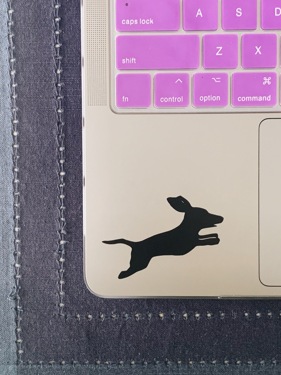 Jumping Dachshund Vinyl Sticker - Etsy