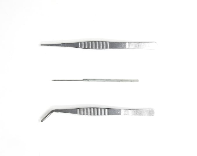 Butterfly Setting Mounting Tools Entomology Taxidermy - Etsy UK