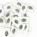 TWO (2) Mangrove Jewel Bugs (calliphara Nobilis) A1 Dry-preserved ...