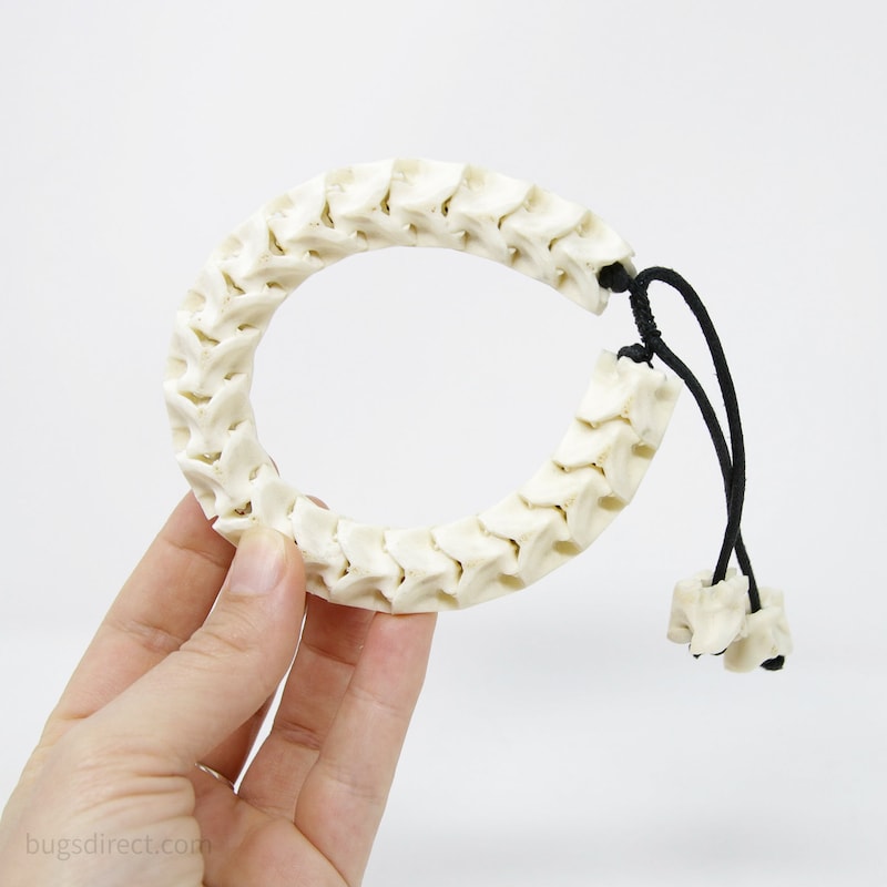Bone Jewelry - Etsy