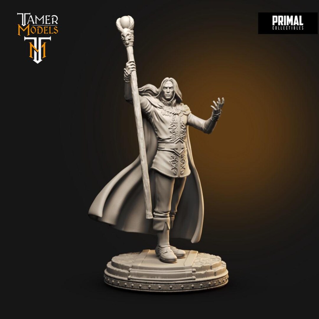 Wizard Danmar by Primal Collectibles Dnd 3D Printed Tabletop Model - Etsy