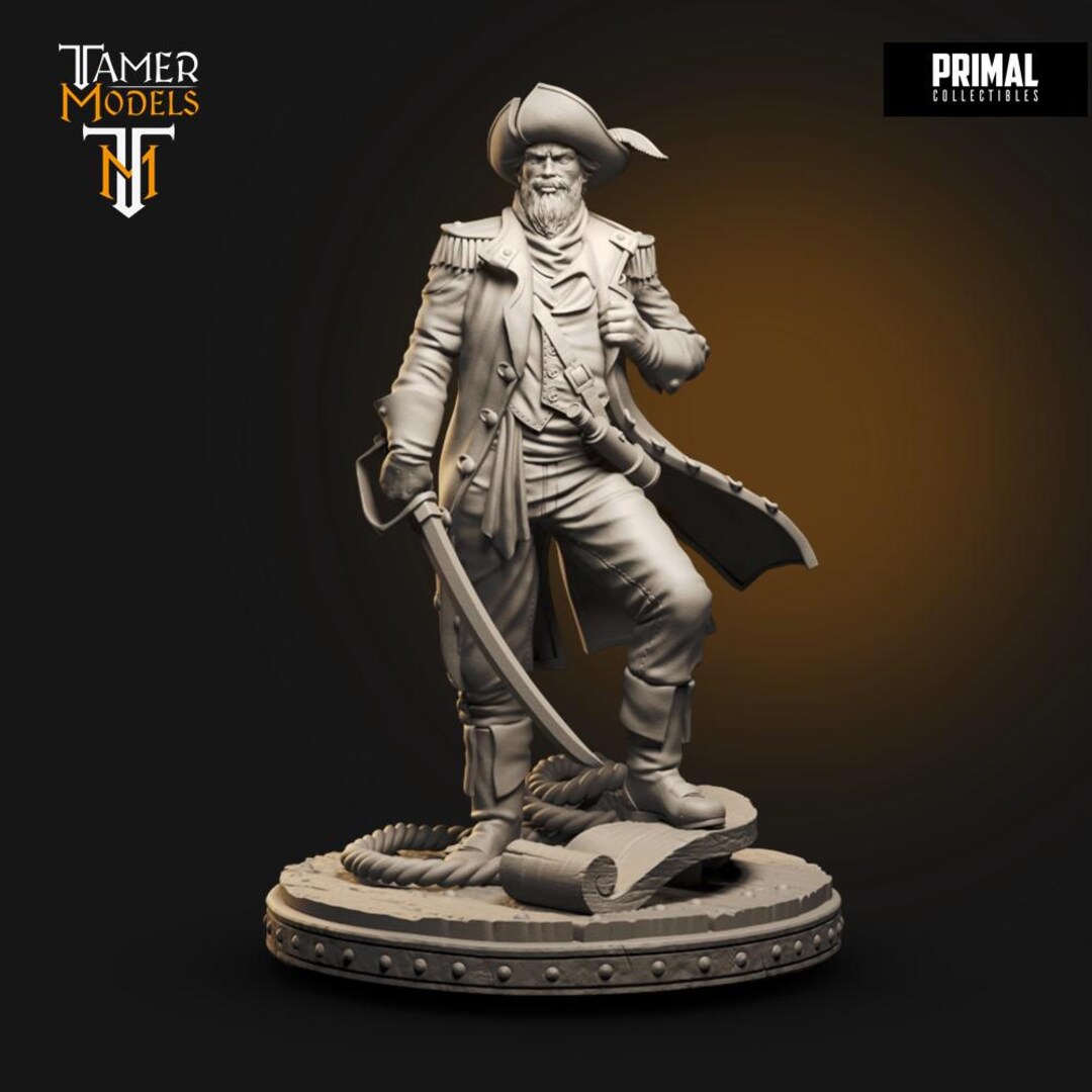 Captain - Bartholomew Francois Collectibles Dnd 3D Printed Tabletop ...