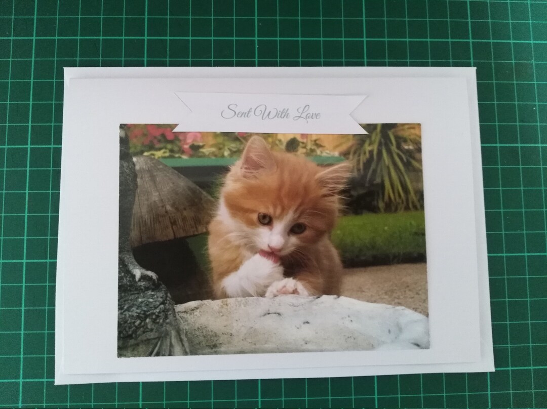 Cute Cat Cards Handmade Cat Cards Funny Cat Stationary Cute - Etsy