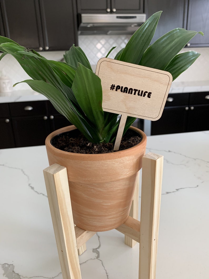 Plant Marker Pothos Plant Marker Houseplant Marker Boho - Etsy