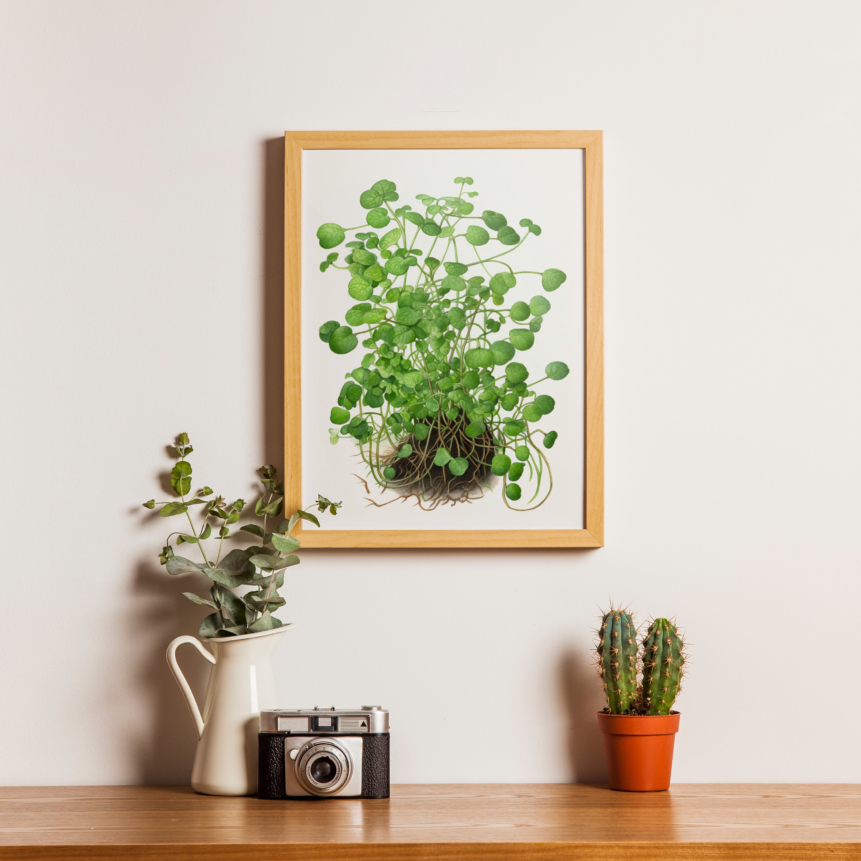 Hydrocotyle Tripartita Digital Illustration - Aquatic Plant Art - Etsy