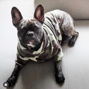 Camo Waterproof Made to Measure Dog Fleece / Frenchie, Dachshund, Pug ...