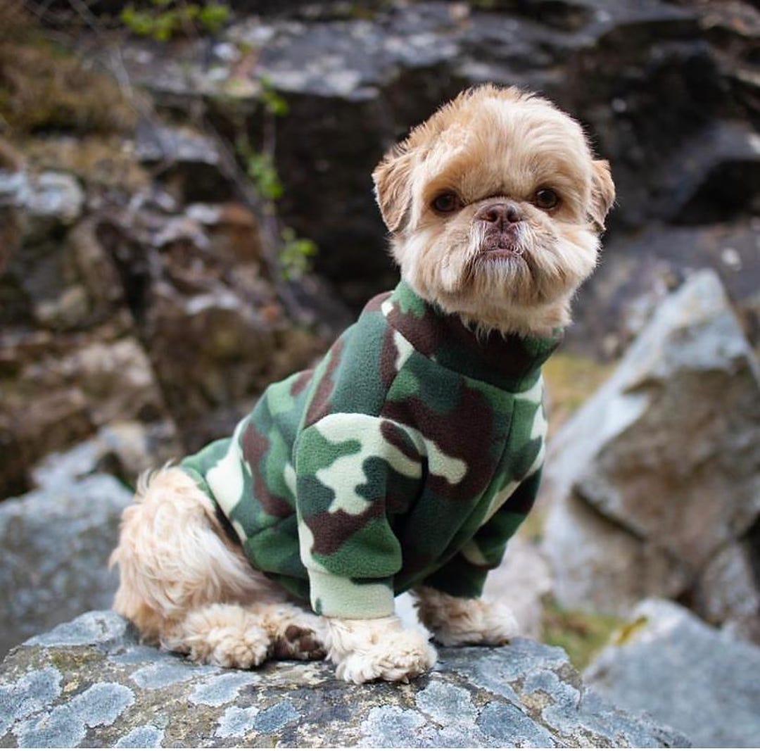 Camo Waterproof Made to Measure Dog Fleece / Frenchie, Dachshund, Pug ...