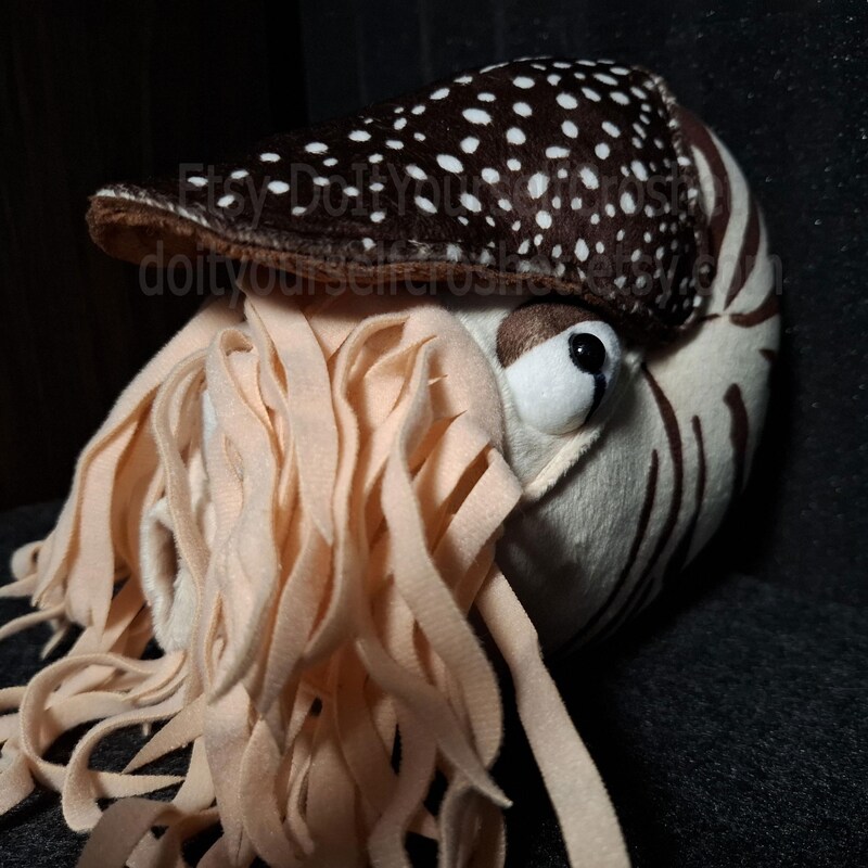 Nautilus - Etsy UK