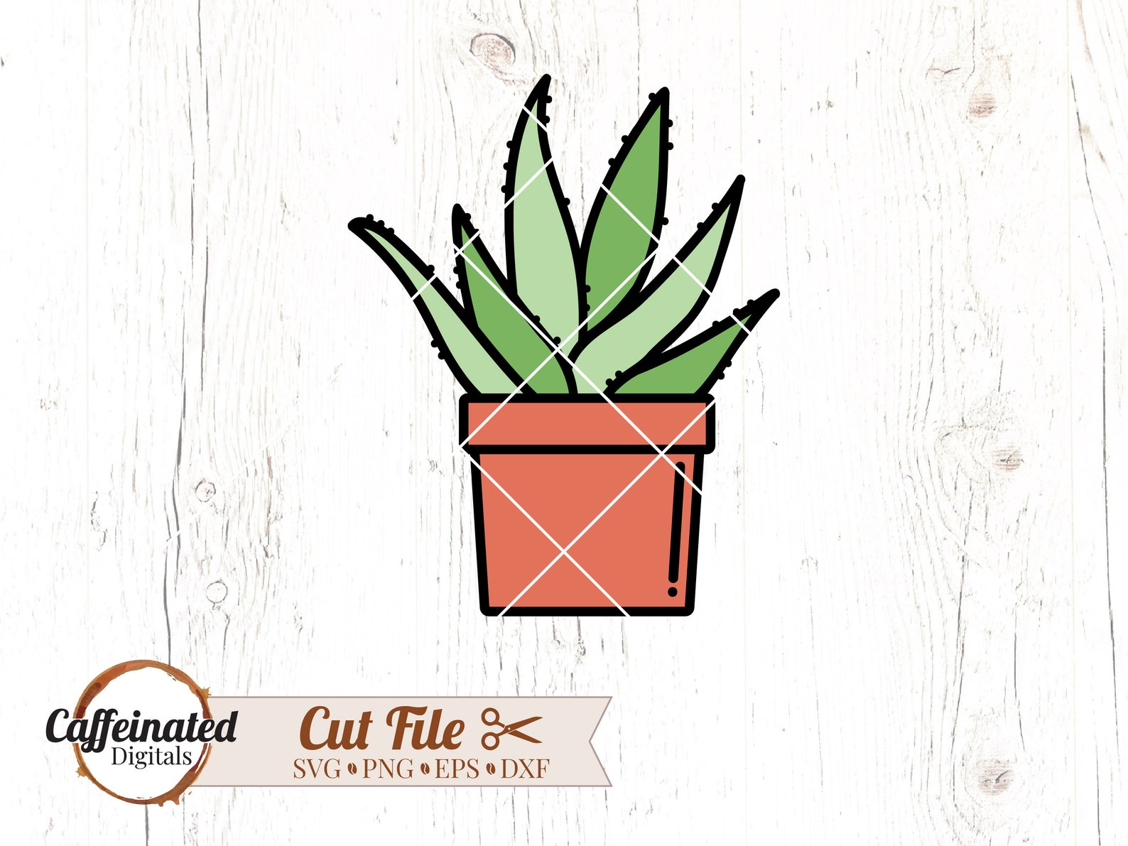 Aloe Svg Aloe Vera Svg House Plant Svg Plant Svg Succulent - Etsy