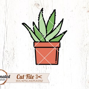 Aloe Svg, Aloe Vera Svg, House Plant Svg, Plant Svg, Succulent Svg ...