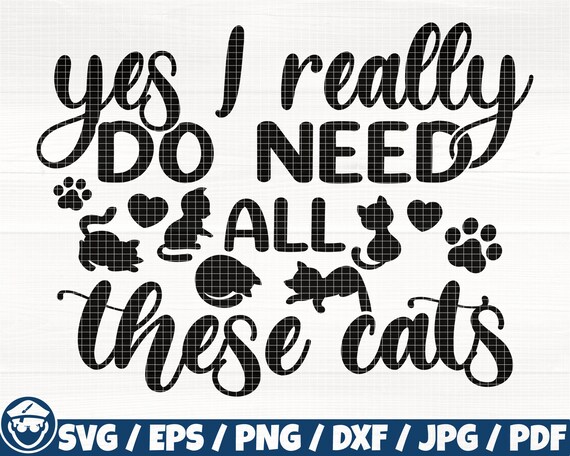 Kitty Cat Yes